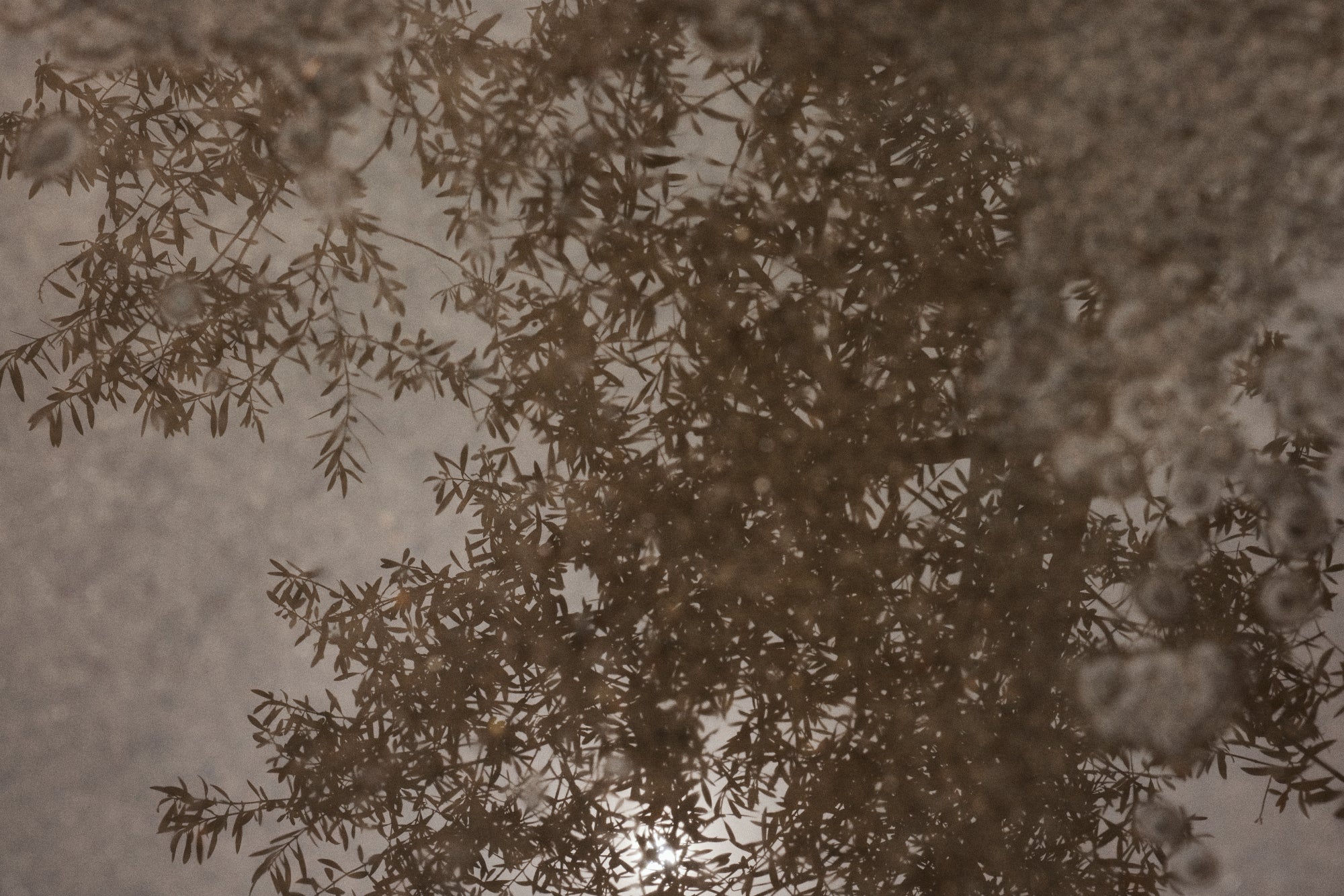 YANABA ONLINE — ハンドメイドのニットウェアブランド、YANABAの公式オンラインストアです。